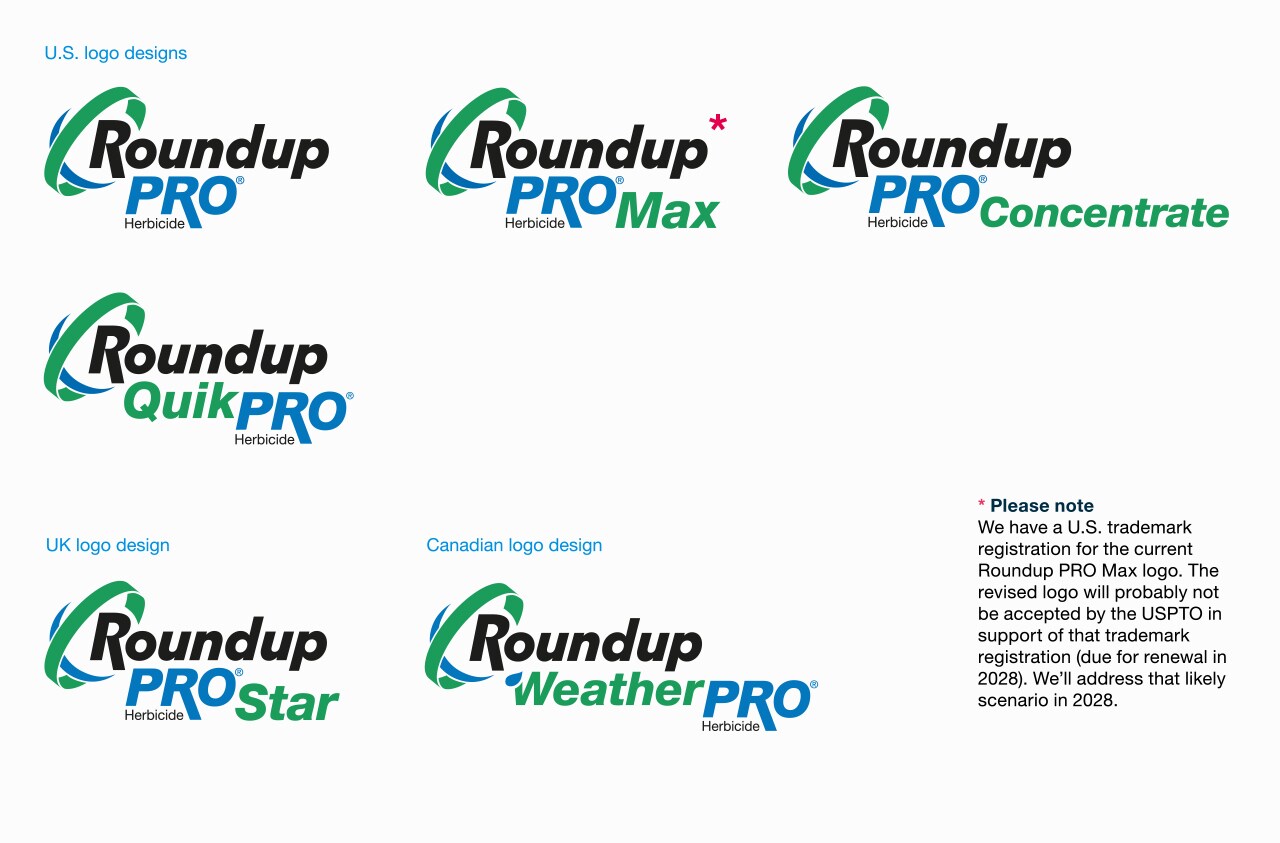 Roundup Branding ES | Identity Net // Portal
